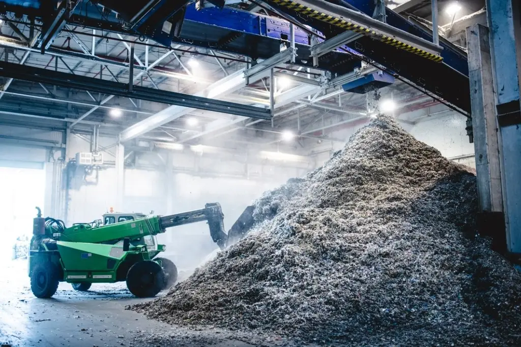 WM Stock Surges: Earnings Growth Amid Industry Challenges - WM