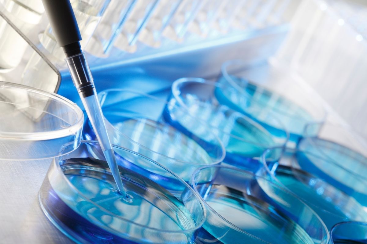 Vertex Pharmaceuticals Faces Mixed Stock Outlook - VRTX Stock