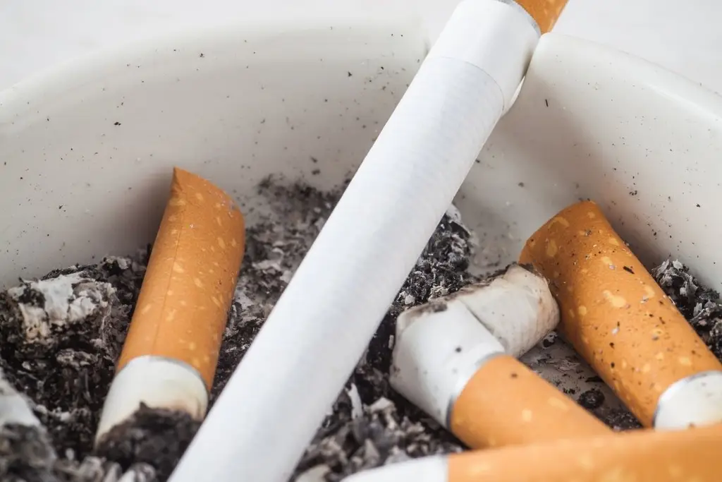 Paradigm Capital Invests in Philip Morris Stock - PM Stock