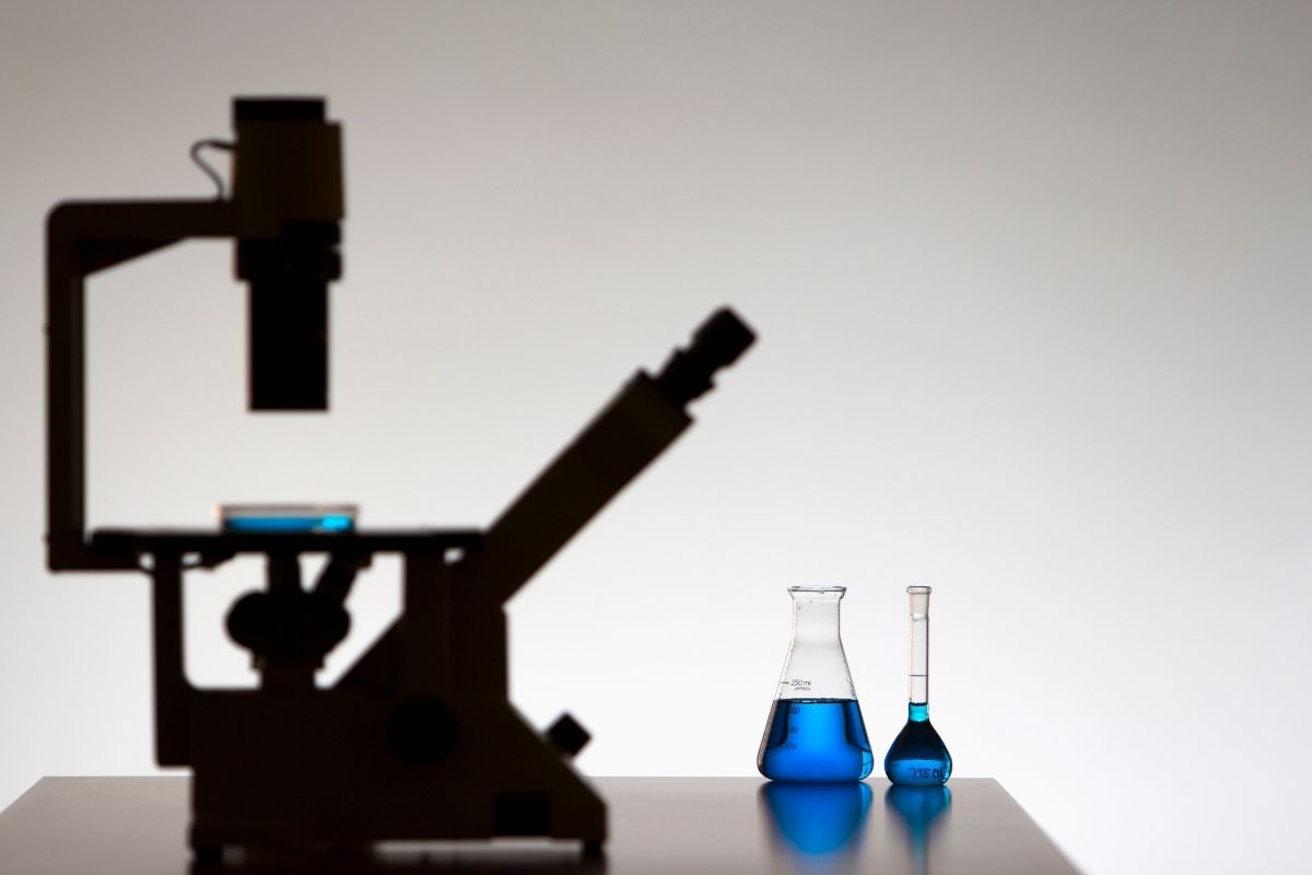 Thermo Fisher Stock Update: Key Investor and Analyst Insights - TMO Stock