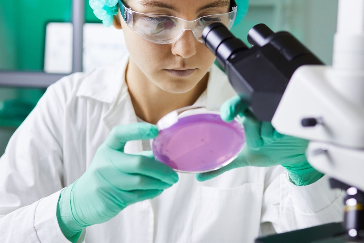 Slim Pickings? Not Anymore, Thanks to Lilly - LLY Stock