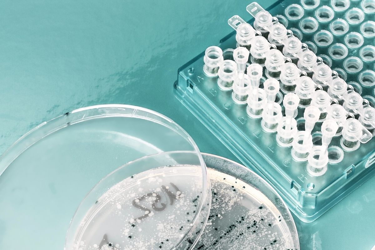 $27M Later, Regeneron Gets a Portfolio Haircut - REGN Stock