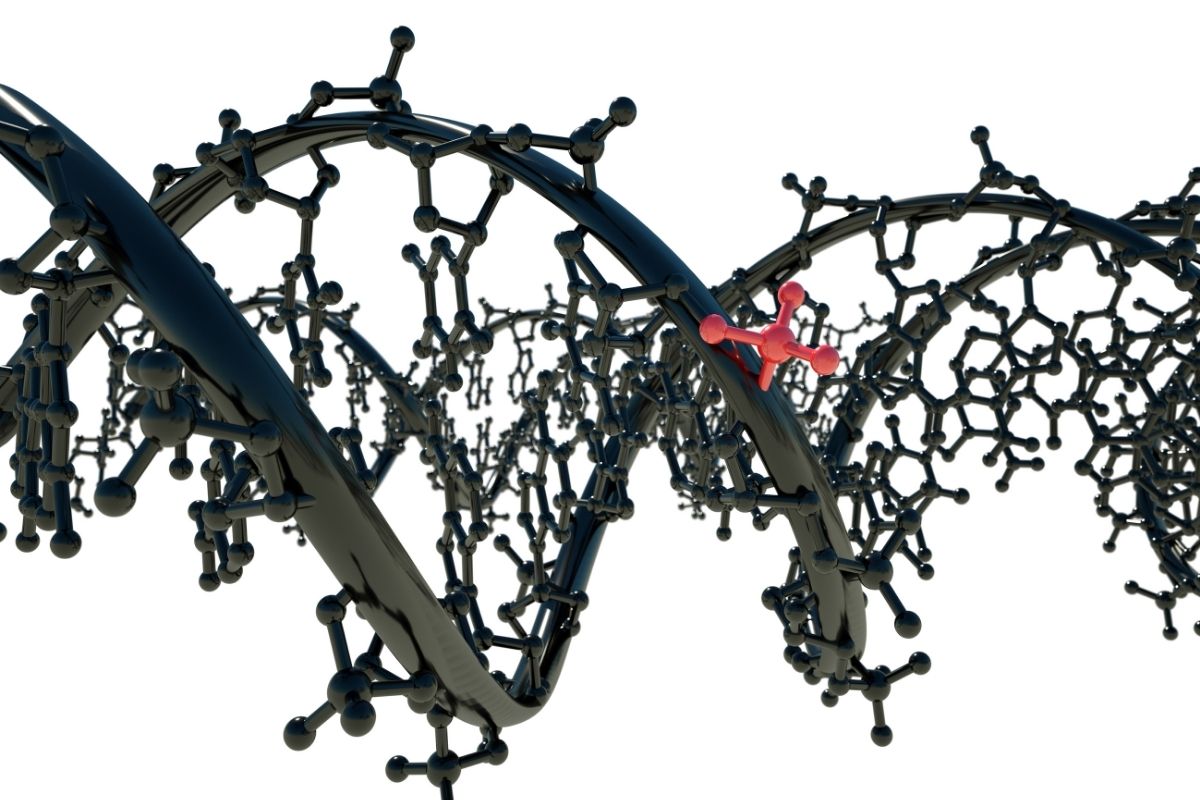 Vertex Gene Therapy Delivers Durable Benefits in Sickle Cell - VRTX Stock